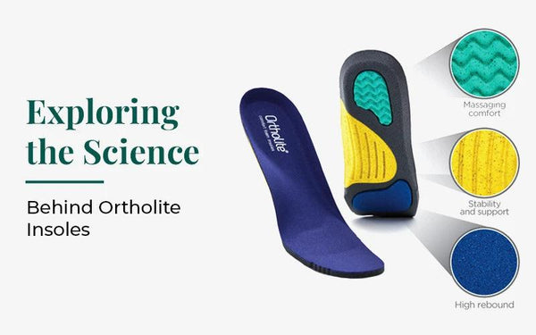 Exploring The Science Behind Ortholite Insoles